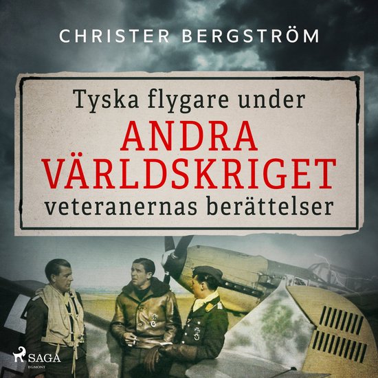Tyska flygare under andra världskriget : veteranernas berättelser ...