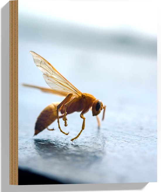 Hout - Zijaanzicht van Geel Insect met Vleugels - 30x40 cm - 9 mm dik ...