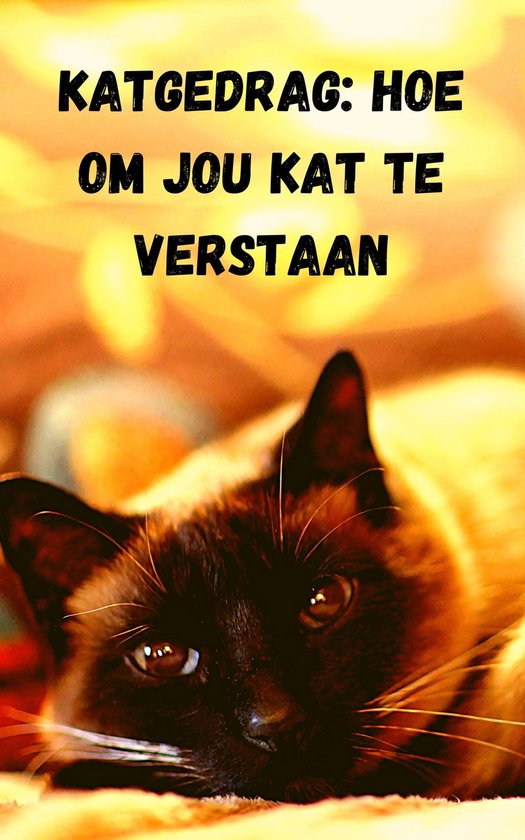 Katgedrag: hoe om jou kat te verstaan (ebook), federico alonso ...