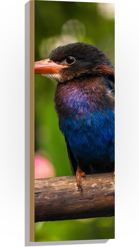 Hout - IJsvogel met Blauwe en Paarse Borst Zittend op Boomstam - 30x90 ...