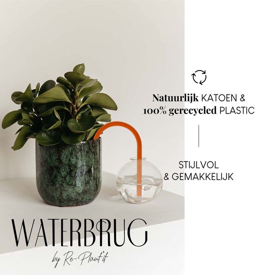 Re-Plant’it Waterbrug - Automatisch Watergeef Systeem - Water Feeder ...