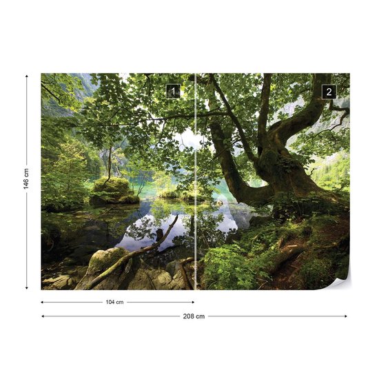 Fotobehangkoning - Fotobehang - Vliesbehang - Behang - Bos - Boom ...
