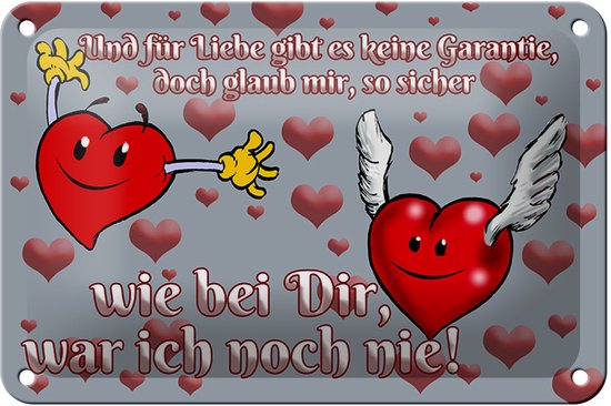 Blechschild Spruch 18x12cm Für Liebe gibt's keine | bol