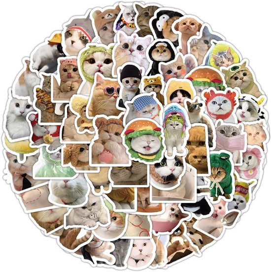 Funny Cat Sticker Set - 100 Pieces - Cute Cat Stickers - Waterproof ...
