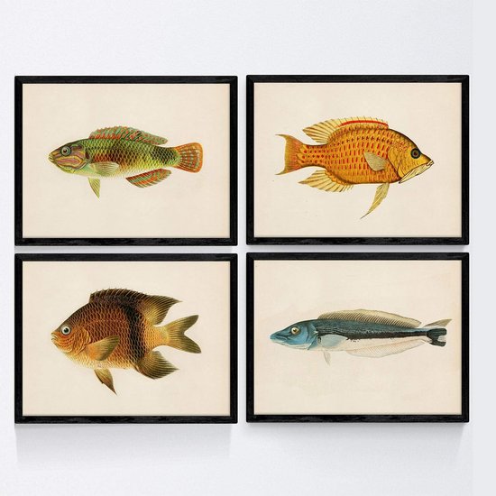 Set van 4 Vintage Kleurrijke Vissen Posters A4 Papier Hoge Kwaliteit | bol