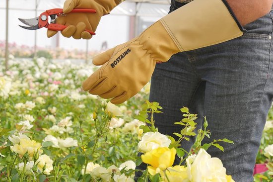Lange waterafstotende leerentuinghandschoenen voor het snoeien van ...