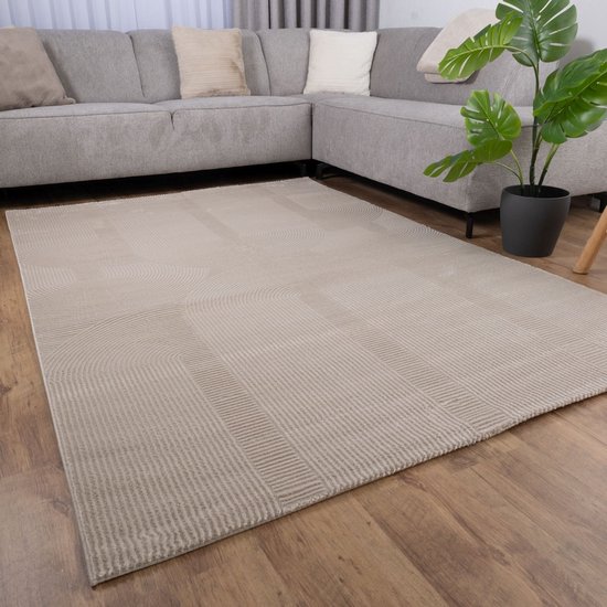 Beige Tapijt Kwalitatief Laagpolig Vloerkleed Koho Premium Touch 3D ...