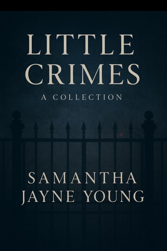 Little Crimes | 9798273172128 | Livres | bol