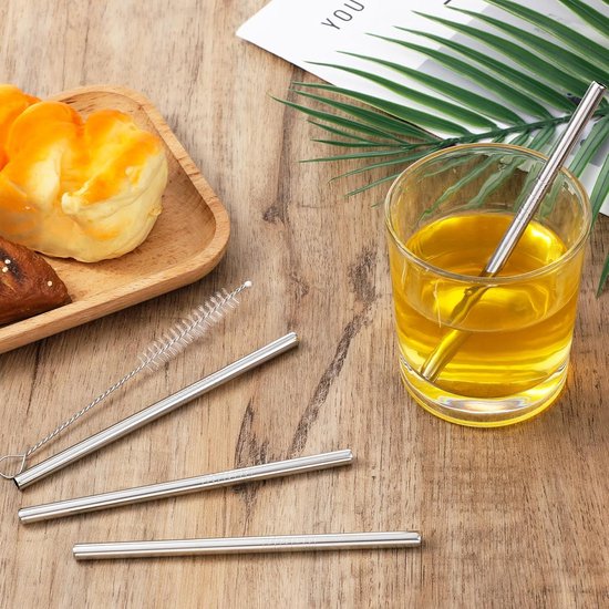 10x Korte Roestvrijstalen Rietjes | Herbruikbaar Metalen Rietje voor ...