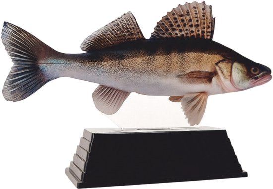 Real Fish Trofee Snoekbaars 17 cm Vis Prijs Roofviswedstrijd ...
