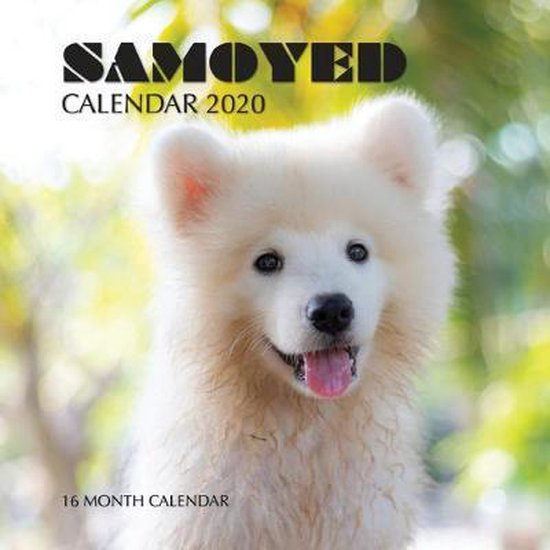 Samoyed Calendar 2020, Golden Print | 9781691944750 | Boeken | bol.com