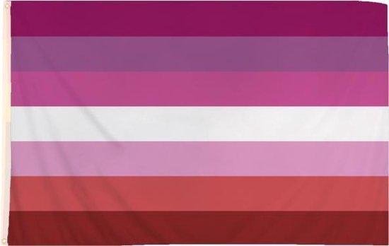 Lesbische Vlag - Grote Lesbi/Lesbian Flag - Lesbie LGBT Gay Pride Vlag - Van 100%... | bol
