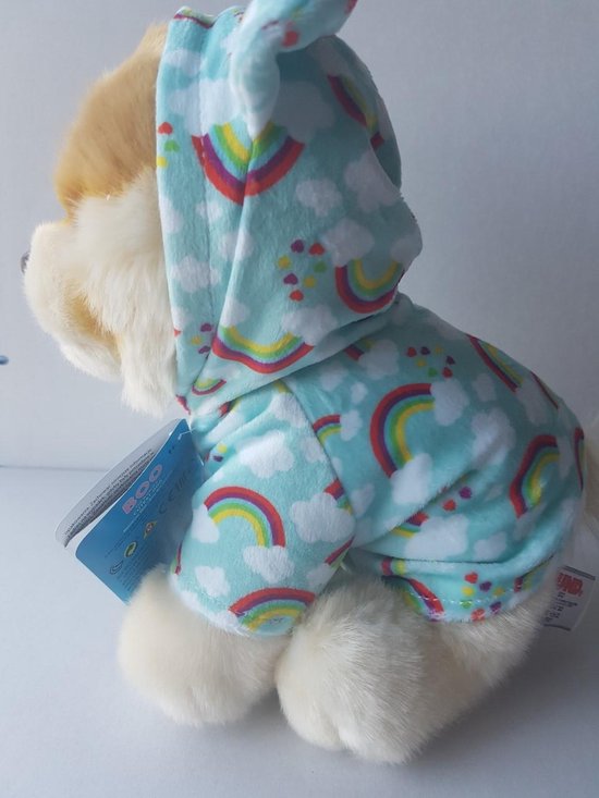 Boo the cutest dog rainbow outfit | bol.com