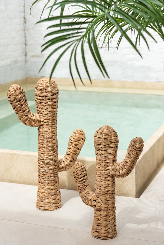 J-Line Cactus Decoratief Jacynthe/Ijzer Naturel Medium | bol.com
