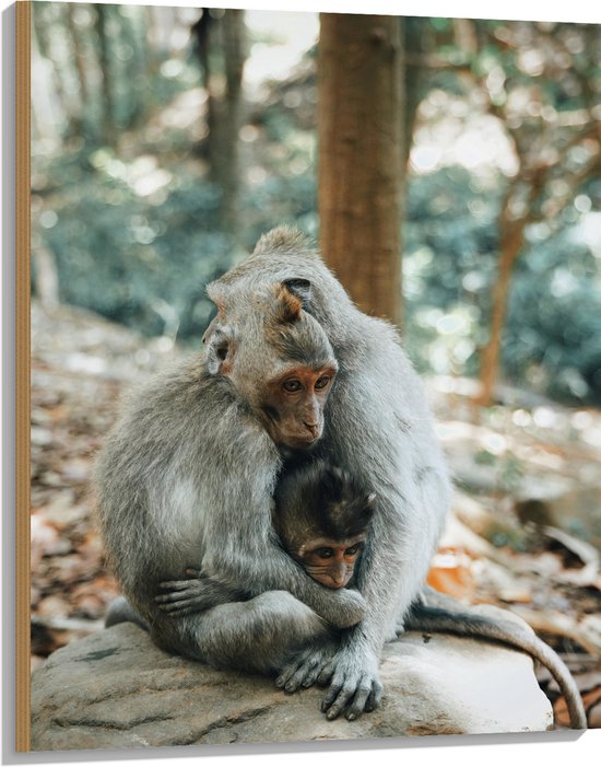 Hout - Kleine Apen Familie met Baby in het Bos - 75x100 cm - 9 mm dik ...