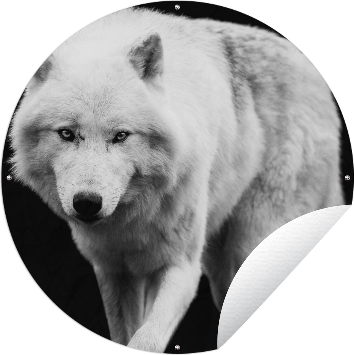 Garden Circle Loup - Animal - Zwart - Wit - 60x60 cm - Affiche de ...