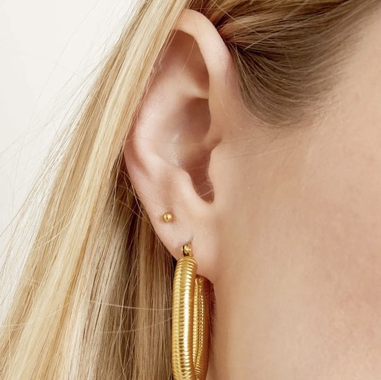 oorbellen knopjes - goud | bol