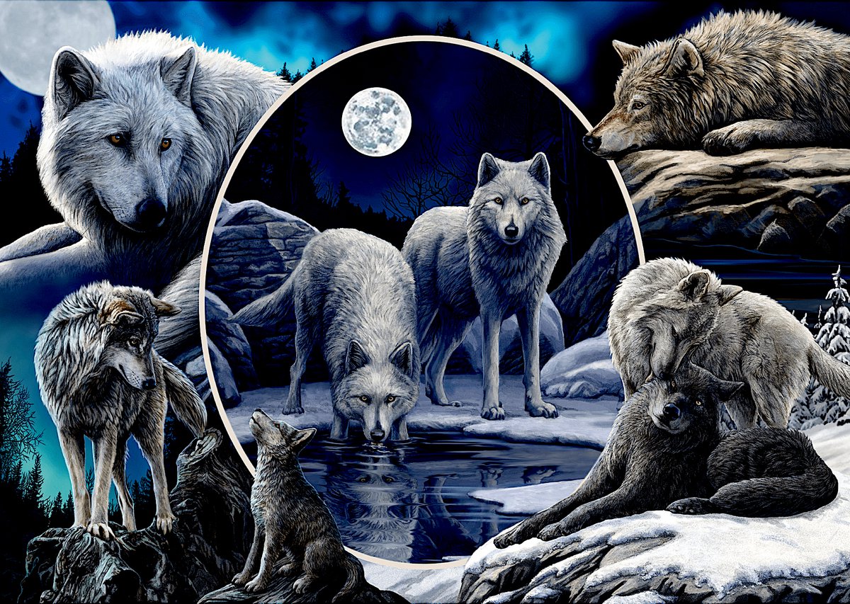 TOPMO- Wolven Roedel - 40 x 50 CM - Diamond painting pakket - HQ ...