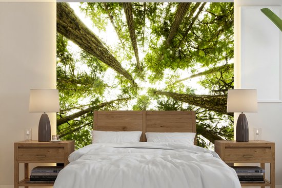 Behang - Fotobehang Hoge groene bomen in jungle - Breedte 350 cm x ...