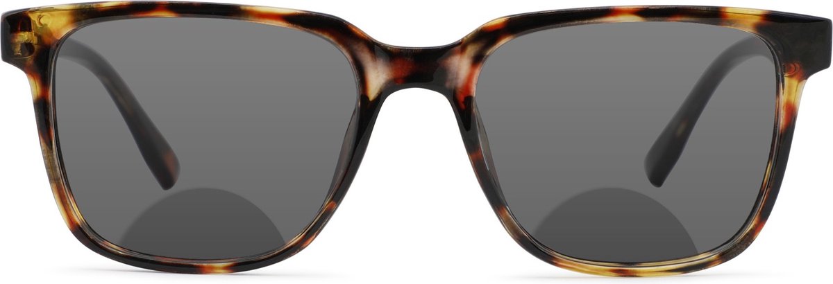 Zonneleesbril Vista Bonita Cubo Bifocaal-Hub Havanna-+1.00 | bol.com