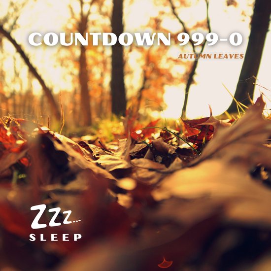 Countdown 999-0, ZZZ Sleep | 9798368915395 | Boeken | bol