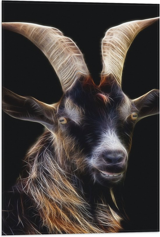 Vlag - Prachtige Geit tegen Zwarte Achtergrond - 40x60 cm Foto op ...