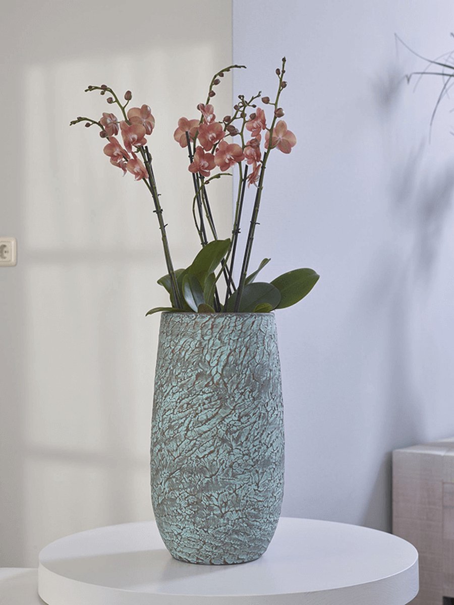 Hoge pot evi antiq bronze bloempot binnen 27 cm | bol.com