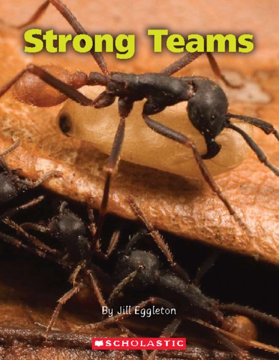 Strong Teams | 9781407126470 | Jill Eggleton | Boeken | bol