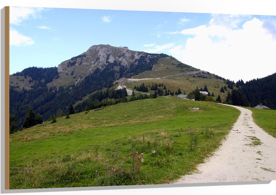 Hout - Pad naar Berg met Begroeiing - 120x80 cm - 9 mm dik - Foto op ...