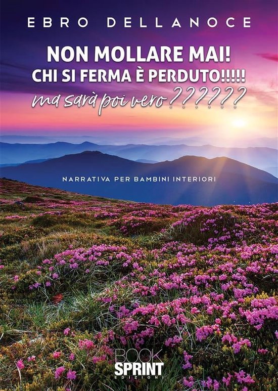 Non mollare mai! (ebook), Ebro Dellanoce | 9788824985383 | Boeken | bol.com