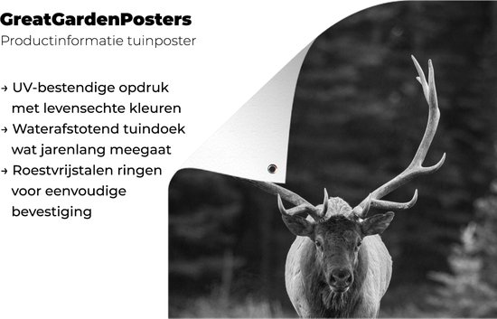 Tuinposter - Tuindoek - Tuinposters buiten - Mannelijk hert lopend door ...