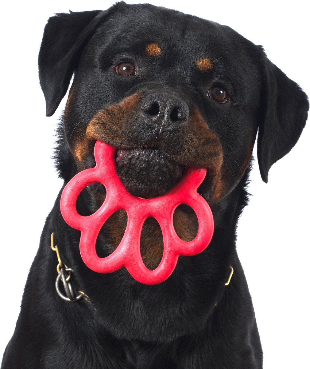BAMA Pet - Orma Groot - Speelgoed hond - Vorm hondenvoet - Apporteer ...