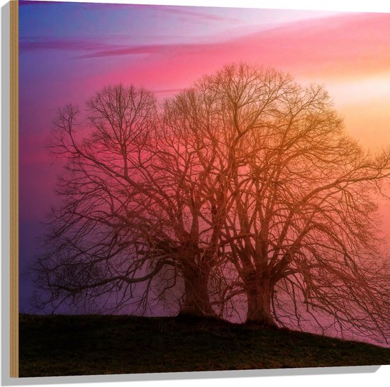 Hout - Twee Grote Kale Bomen op Heuvel tijdens Ondergaande Zon - 80x80 ...
