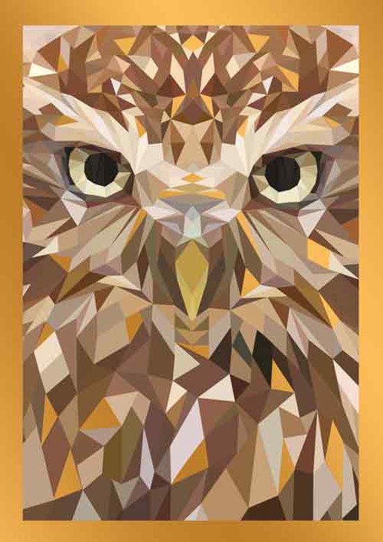 Wenskaart Golden Rush owl | bol