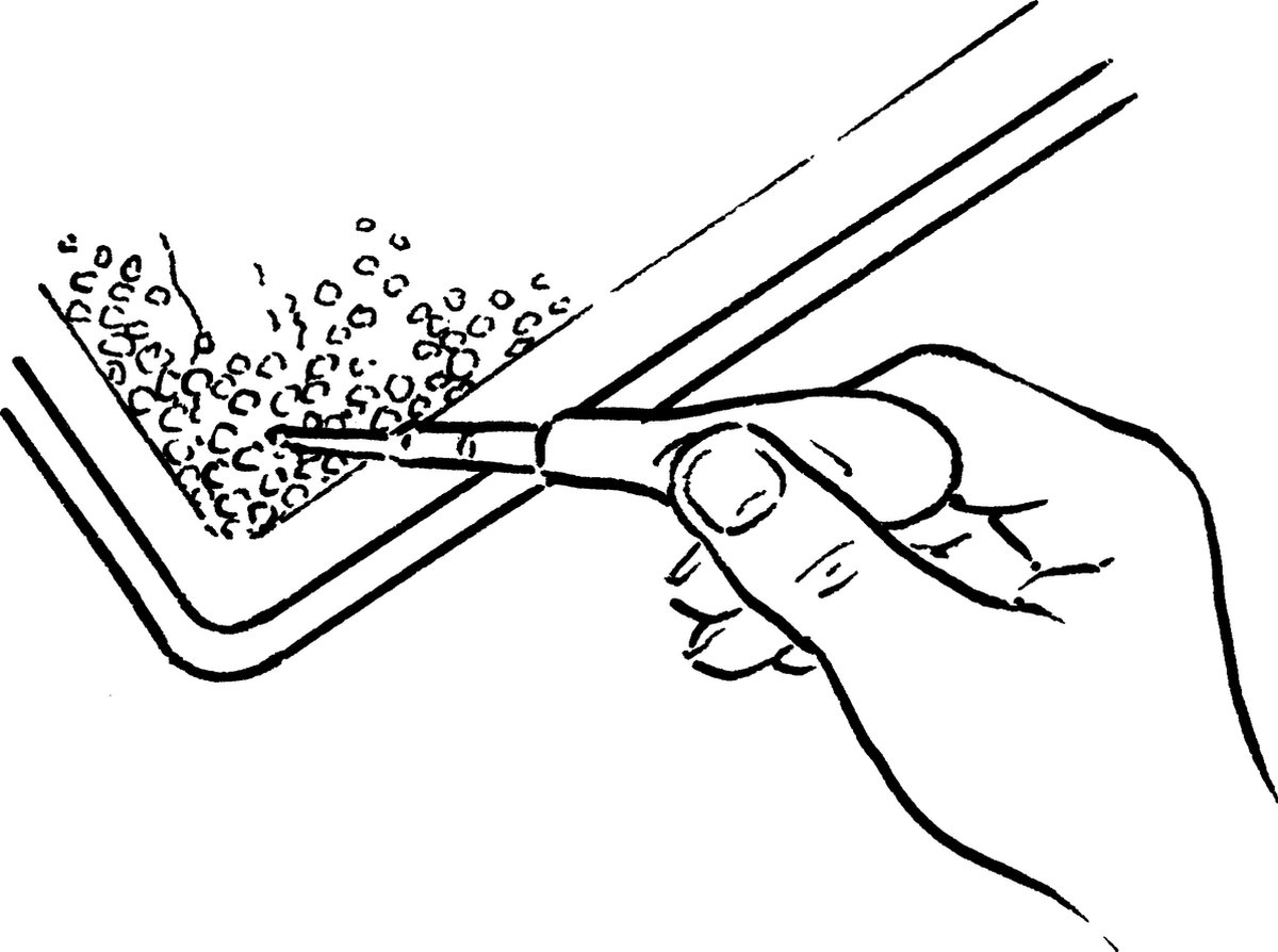 Katkor 200 gr. De diervriendelijke methode om urine te verzamelen bij ...