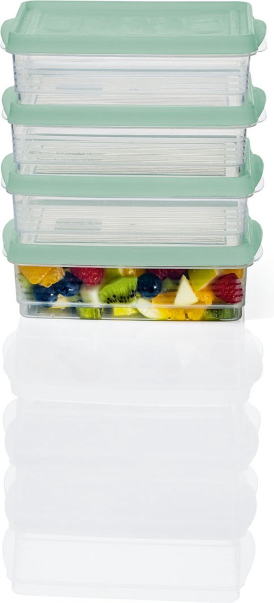 4x Voorraadbakjes/bewaarbakjes 600 ml - Vershoudbakjes - Magnetron ...