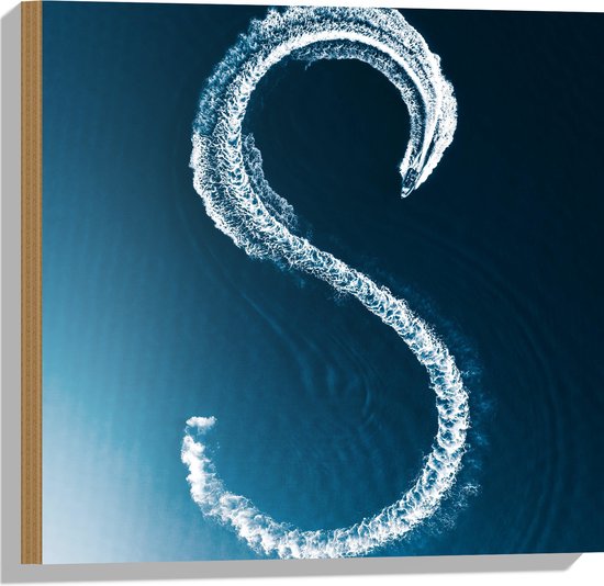 WallClassics - Hout - Boot Racend in S-vorm - 50x50 cm - 9 mm dik ...