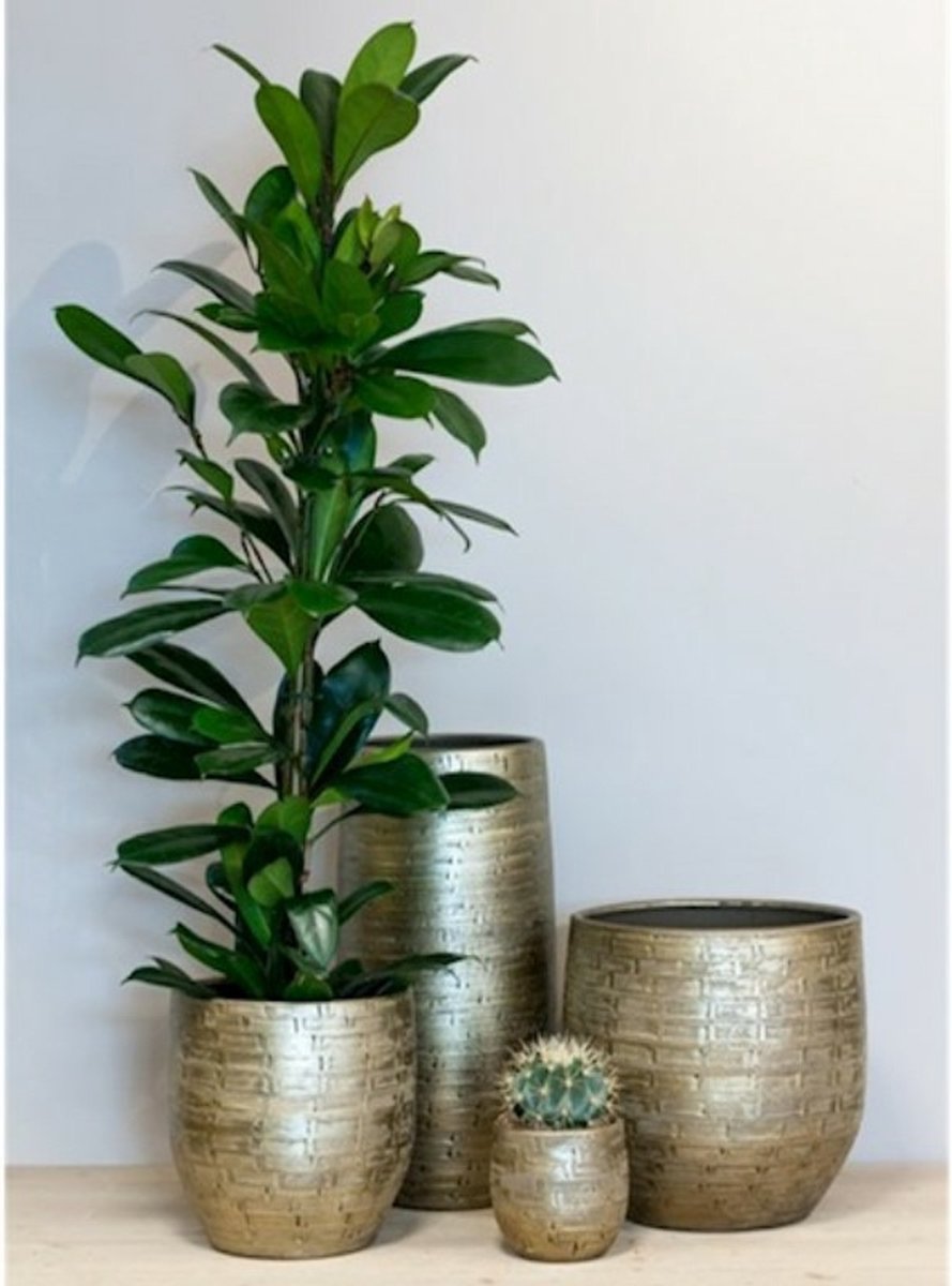 Bela Arte Plantenpot/bloempot - keramiek - goud glans - D18/H16 cm ...