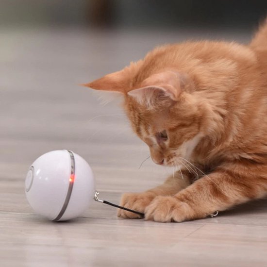 Smarty rollende bal kat | Kattenspeeltjes bal wit | Speelgoed kat en ...