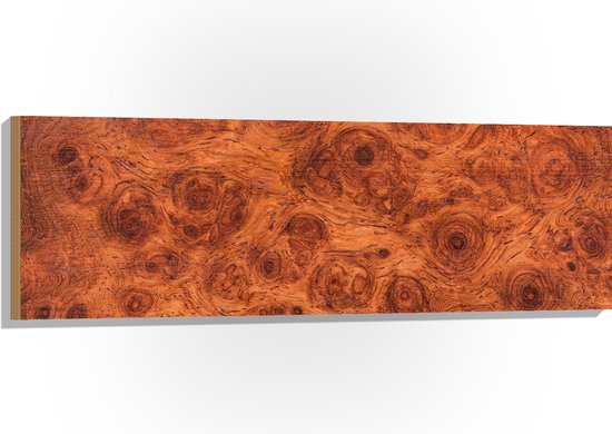 Hout - Print van een Houten Wand met Cirkelvormige Textuur - 120x40 cm ...