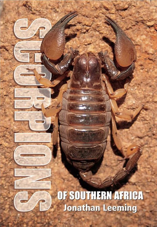 Scorpions of Southern Africa (ebook), Jonathan Leeming | 9781775840411 ...