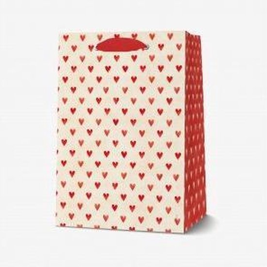 Legami Geschenktasje Medium Hearts | bol