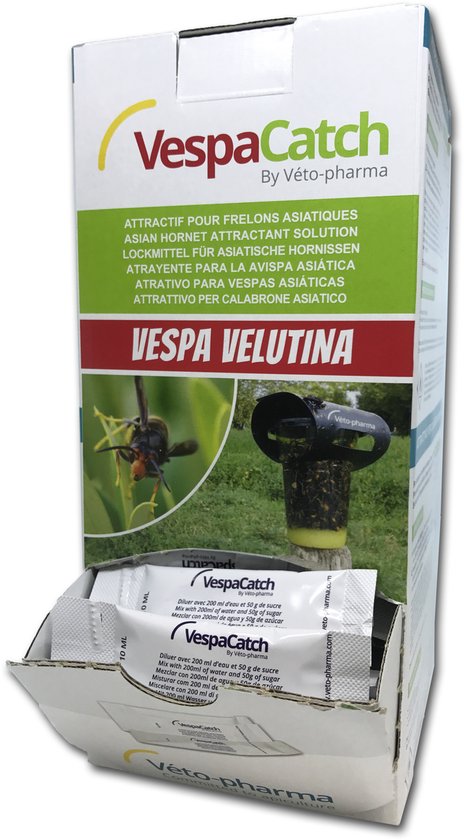 Aziatische hoornaar VespaCatch lokmiddel 10ml, per 12 sticks | bol