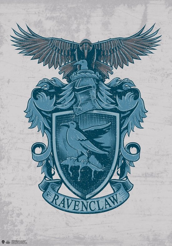 Harry Potter Poster -M- Ravenclaw Poster 1 Blauw | bol