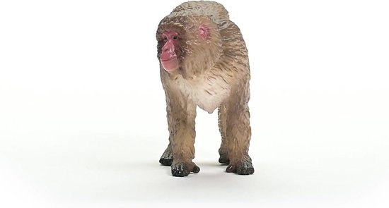 schleich WILD LIFE - Japanse makaak - 14871 | bol