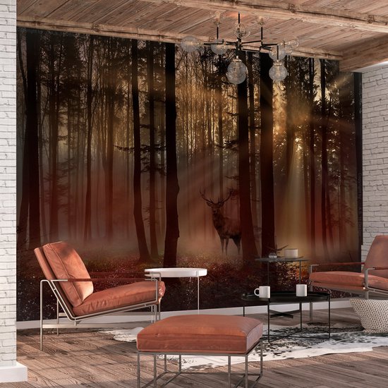 Fotobehangkoning - Behang - Vliesbehang - Fotobehang - Magisch Bos ...
