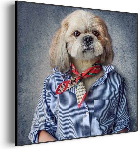 Tableau Acoustique Chien Humain Dans Farmers Thema Square Pro XL ...