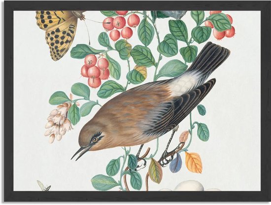 Poster Prent Natuur Vogel en Bloemen 05 Rechthoek Horizontaal Met Lijst ...