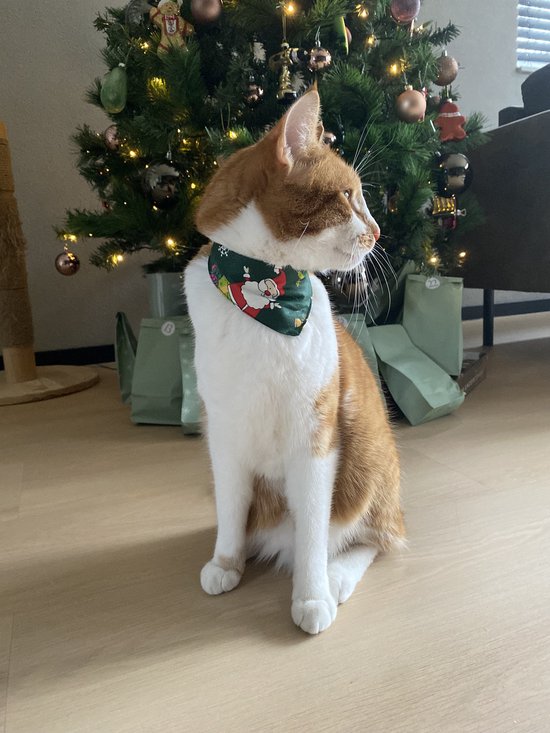 ByTiekeman - Kattenhalsband - Groen - Kerstman - Kerst - Glitters ...