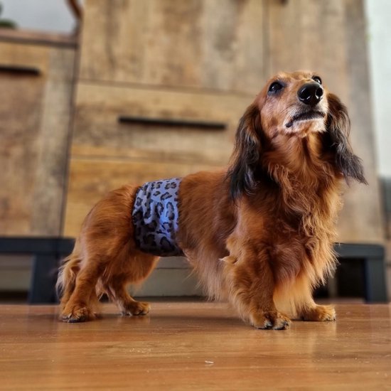 Hondenluier - Luipaard Grijs - Maat XL - Wasbaar - Verstelbaar 63-80 cm ...